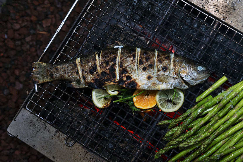 7 Must-Try Recipes for Takibi Time | Snow Peak